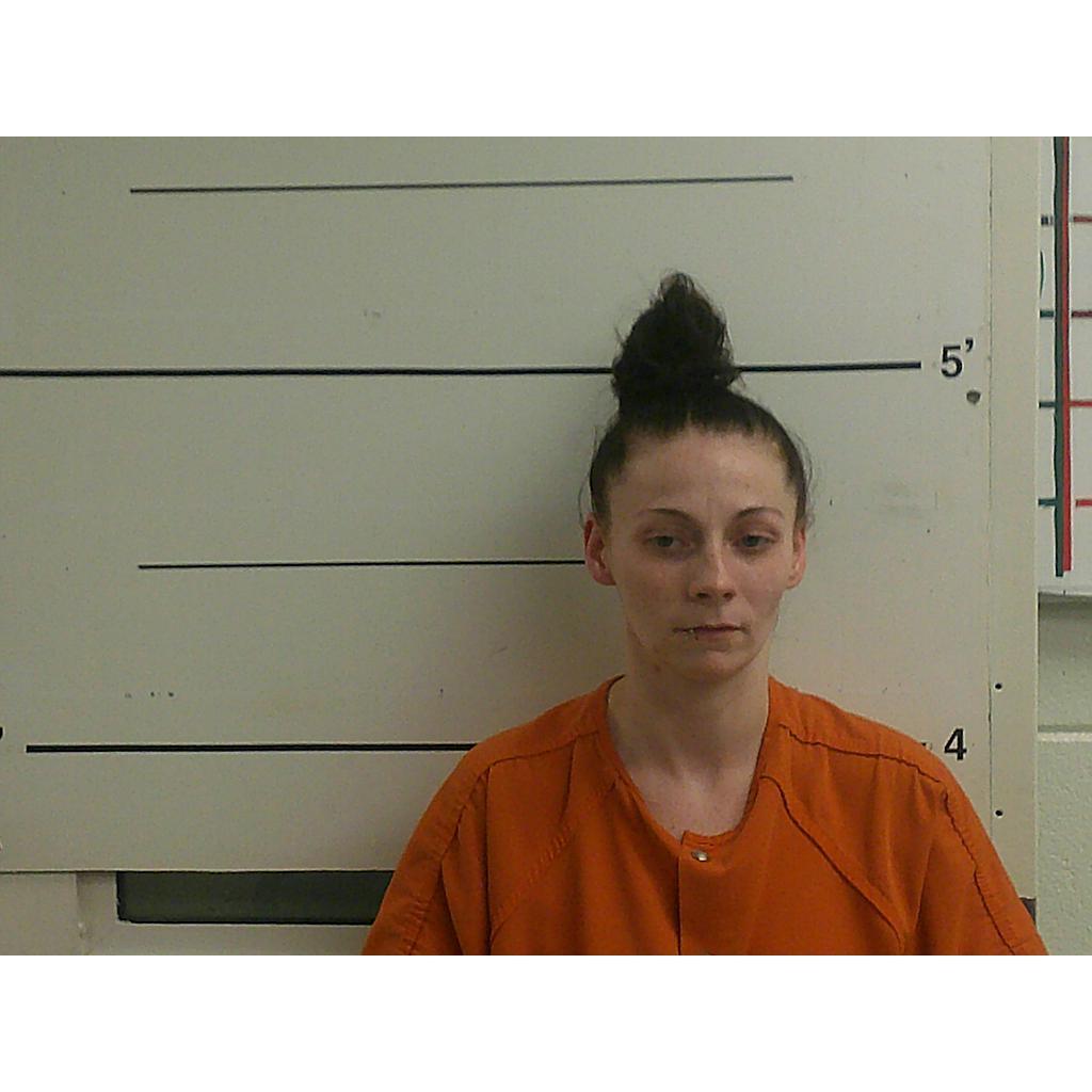 LAURA PARSLEY D 01/28/2022 - Boyd County Mugshots Zone