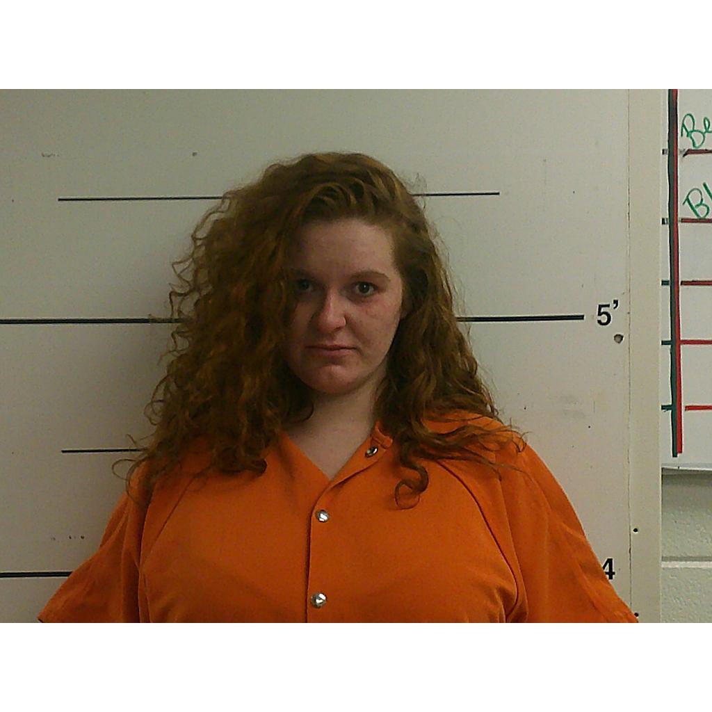 PAMELA CASTLE R 02/02/2022 - Boyd County Mugshots Zone