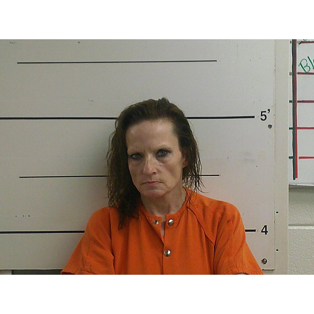LISA DEMENT ANN 02/02/2022 - Boyd County Mugshots Zone