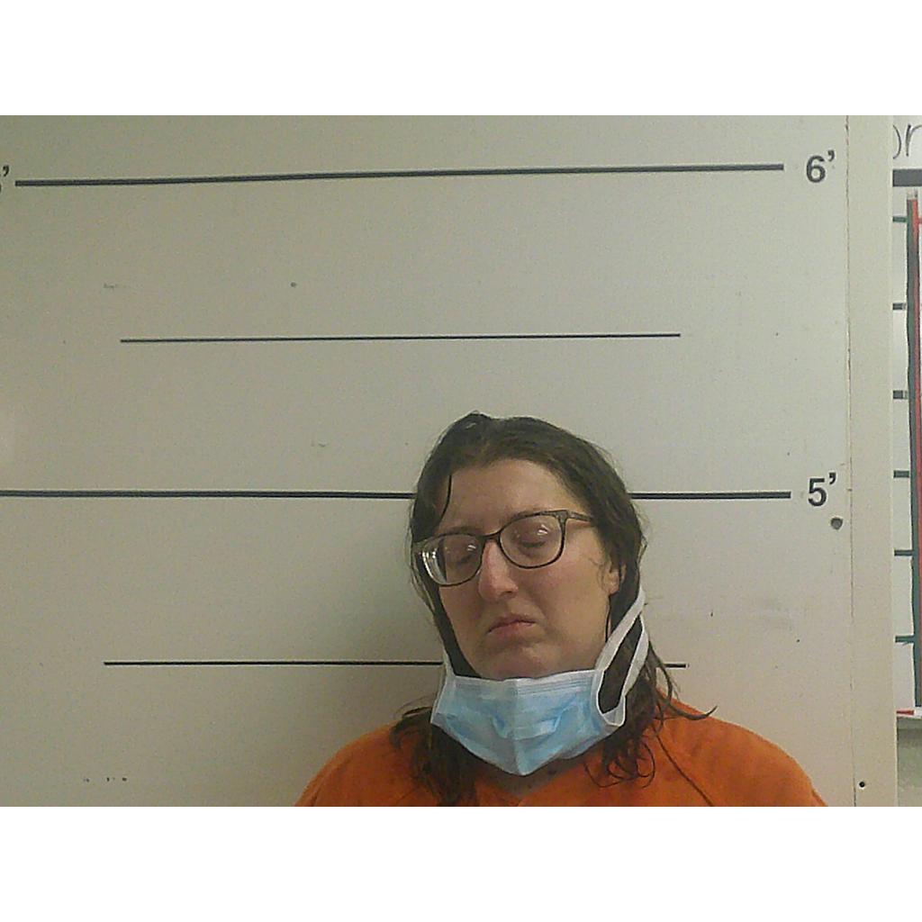 WHITNEY GRIFFITH DANIELLE 02/04/2022 - Boyd County Mugshots Zone