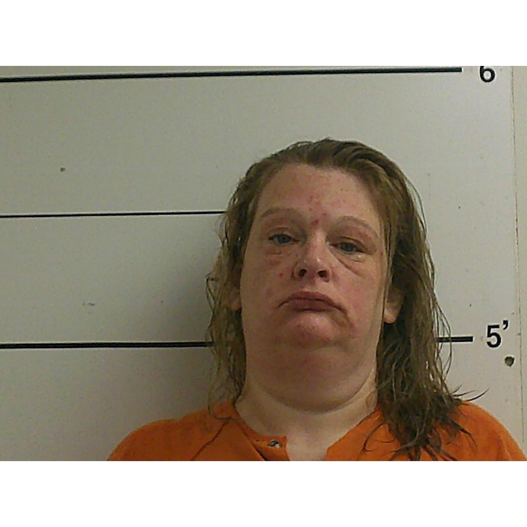 CARLA ELLIOT DAWN 02/06/2022 - Boyd County Mugshots Zone