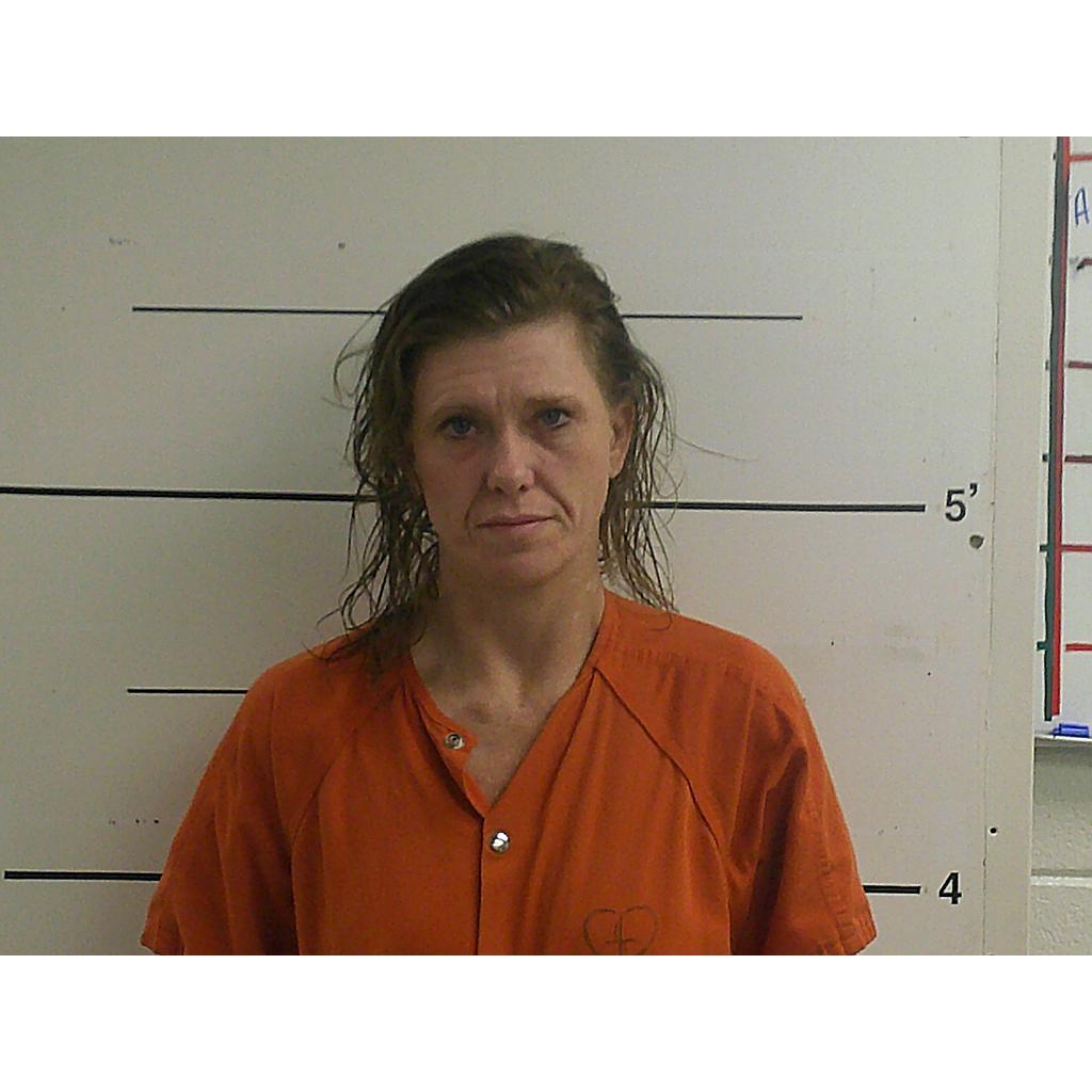 ANGELA CLARKSTON SUZANNE 02/15/2022 - Boyd County Mugshots Zone