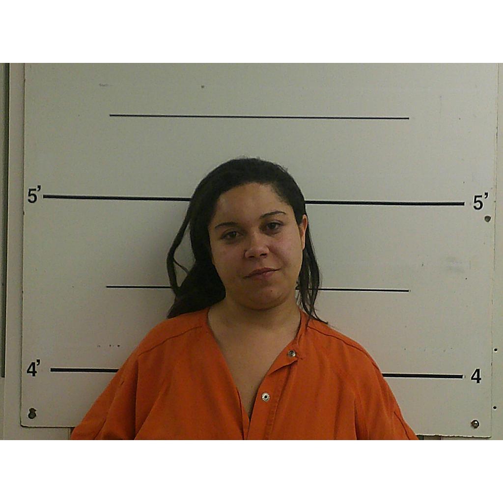 KAYLA THOMAS L 02/17/2022 - Boyd County Mugshots Zone