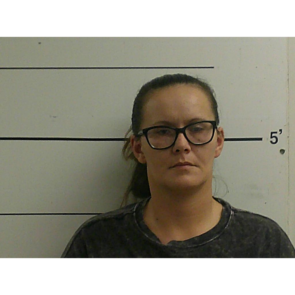 PATRICIA COOK LYNN 02/21/2022 - Boyd County Mugshots Zone