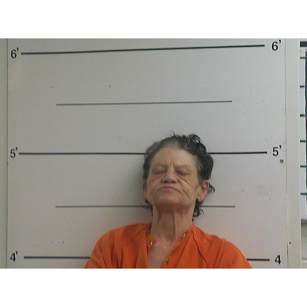 TERRY RUSSELL LYNN 02/26/2022 - Boyd County Mugshots Zone