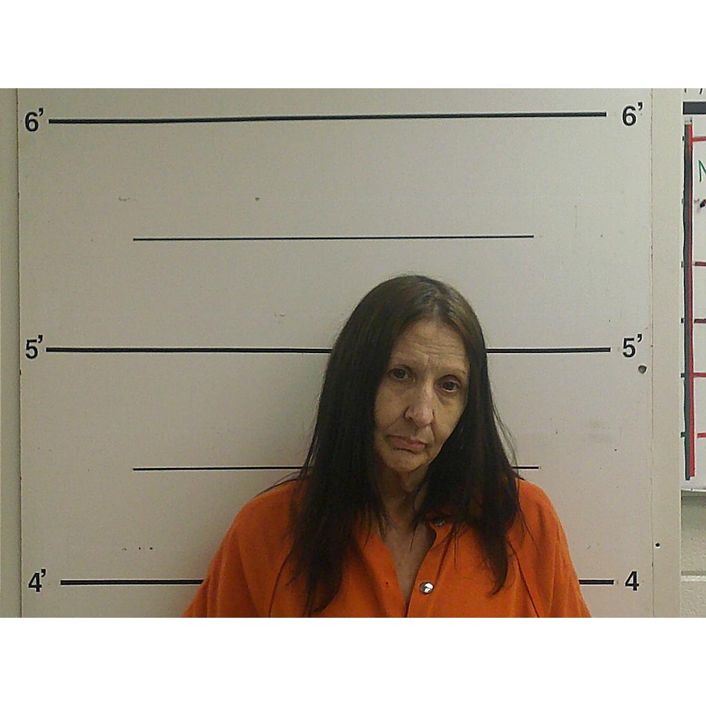 CONSTANCE WAGNER DEANN 04/05/2022 - Boyd County Mugshots Zone