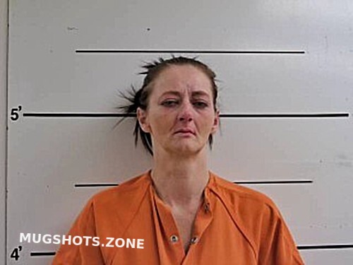 CHRISTY FOWLER 04/09/2022 - Boyd County Mugshots Zone