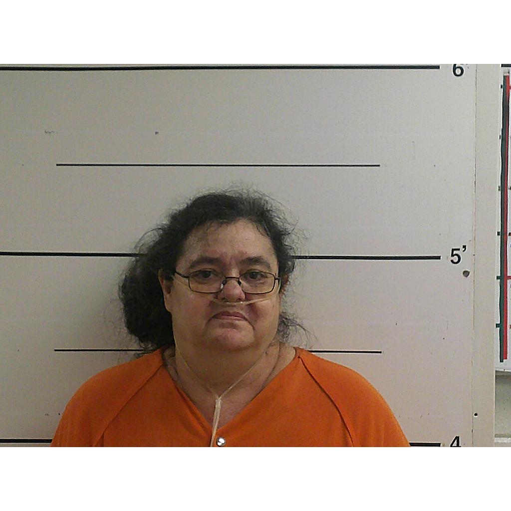 BRENDA STAPLETON F 06/02/2022 - Boyd County Mugshots Zone