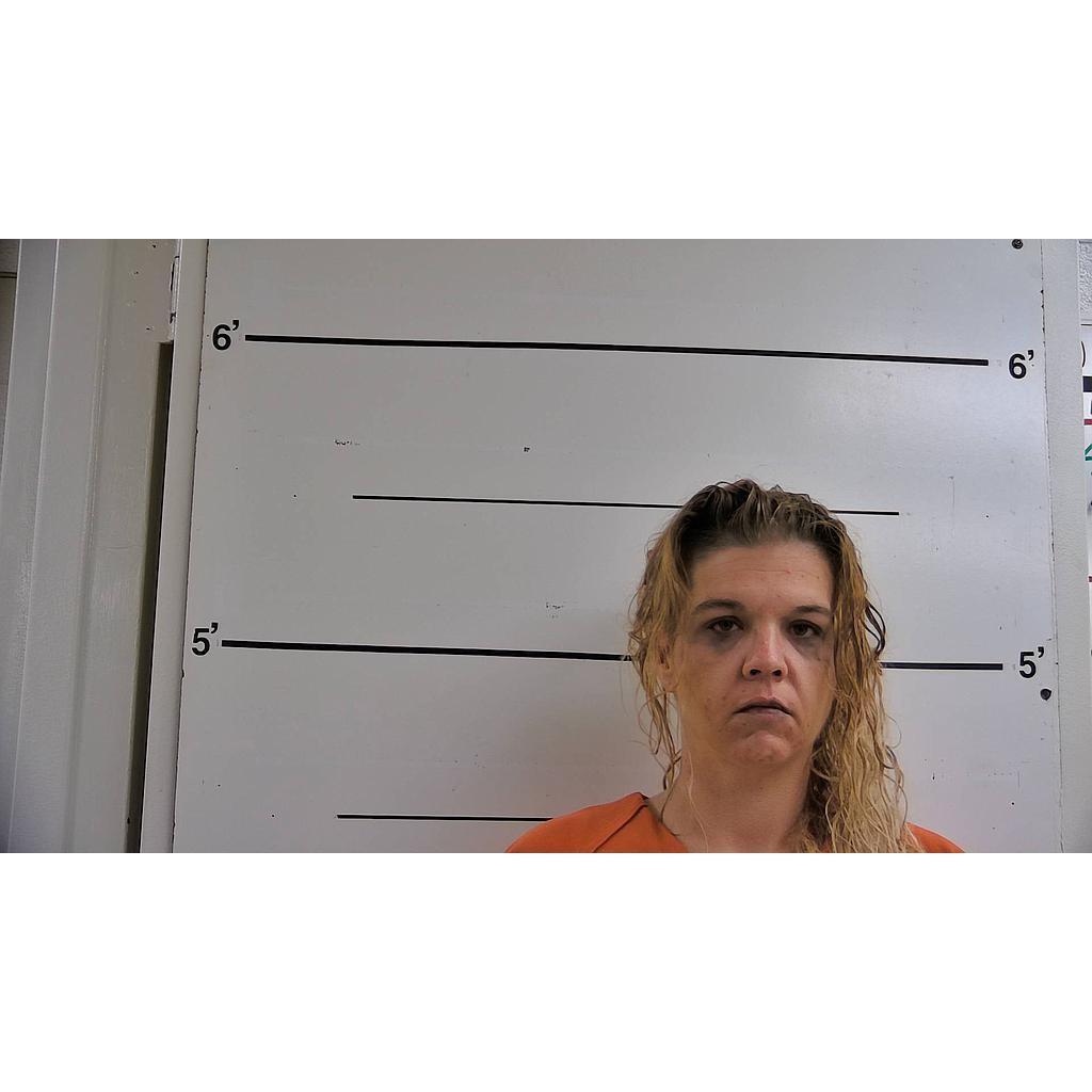 WAUGH STEPHANIE 07/08/2022 - Boyd County Mugshots Zone