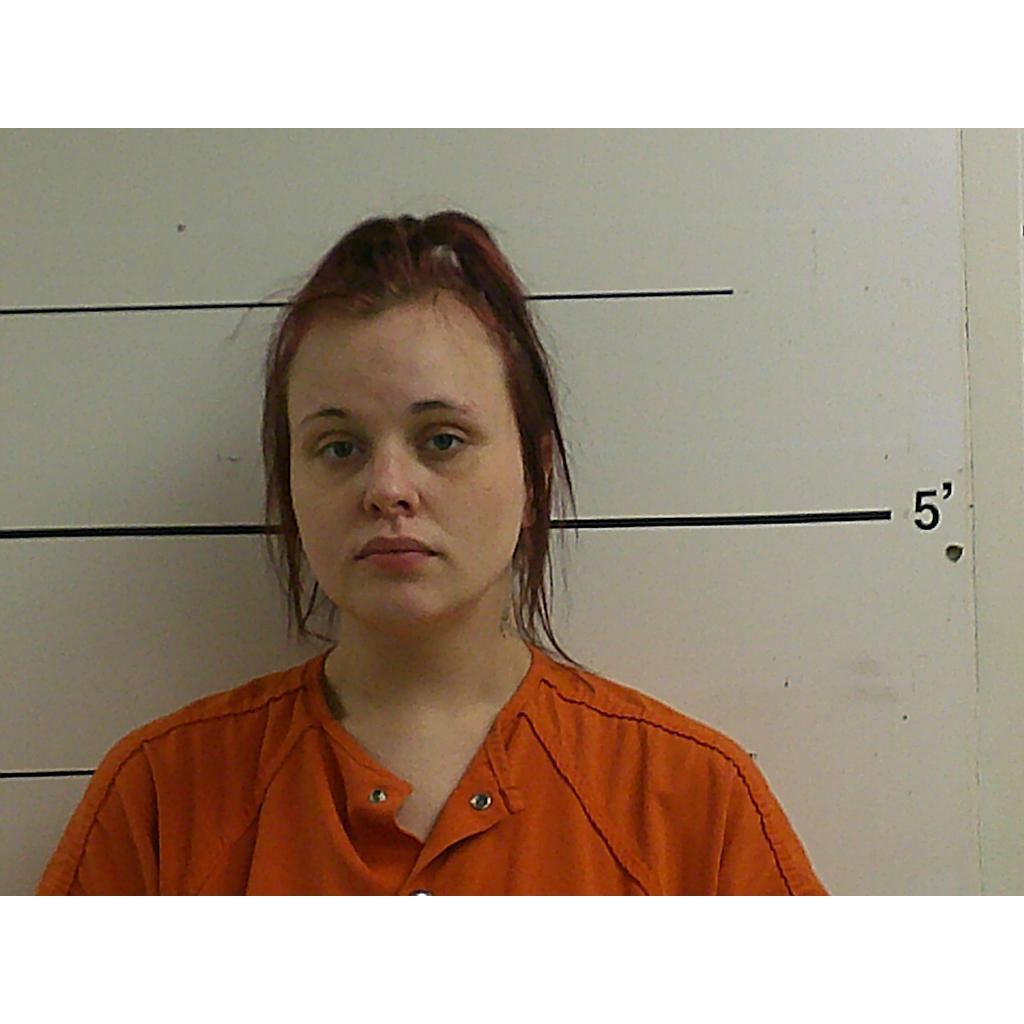 MORGAN BRIANNE NICHOLE 07/12/2022 - Boyd County Mugshots Zone