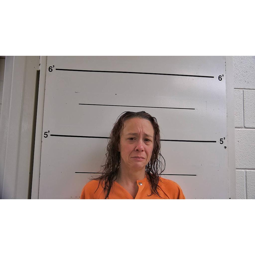 RUTTER ANITA MARIE 11/04/2022 - Boyd County Mugshots Zone