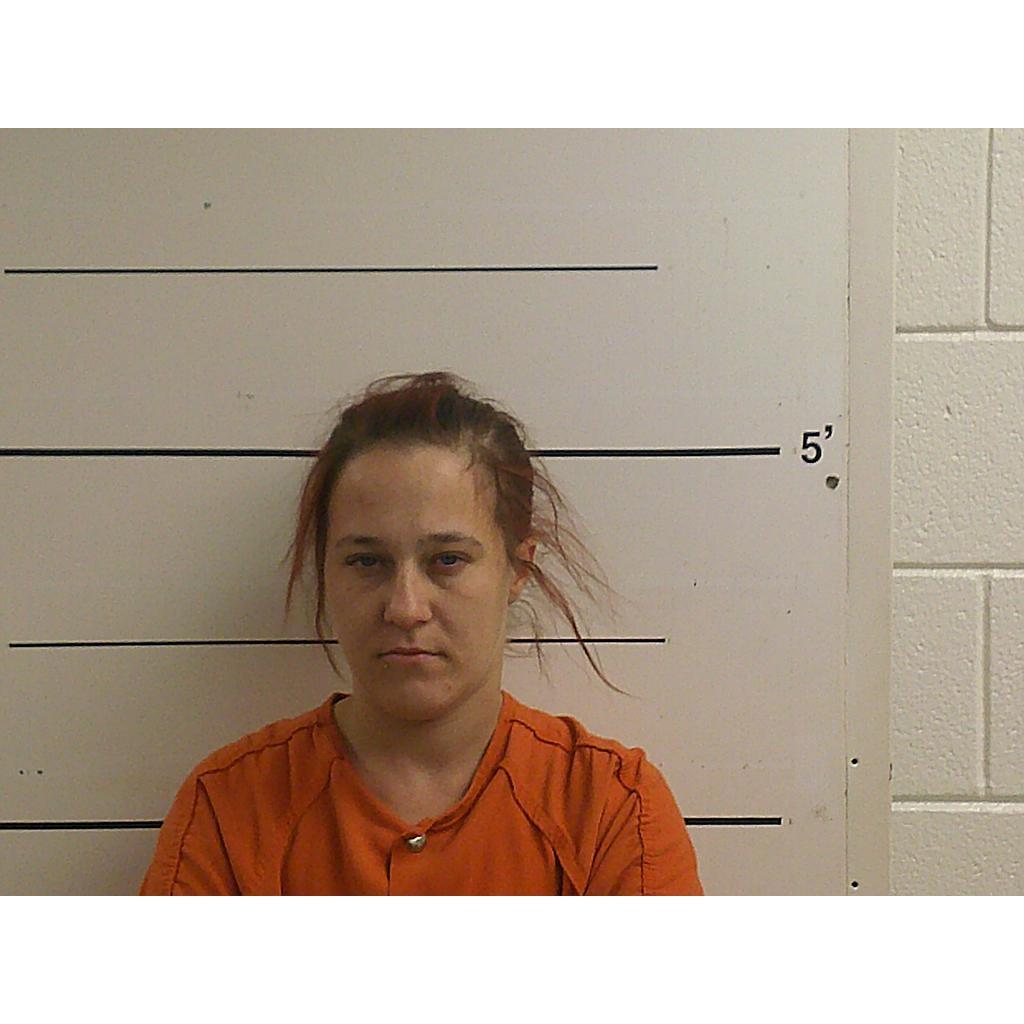 FRALEY CHELSIE N 11/26/2022 - Boyd County Mugshots Zone
