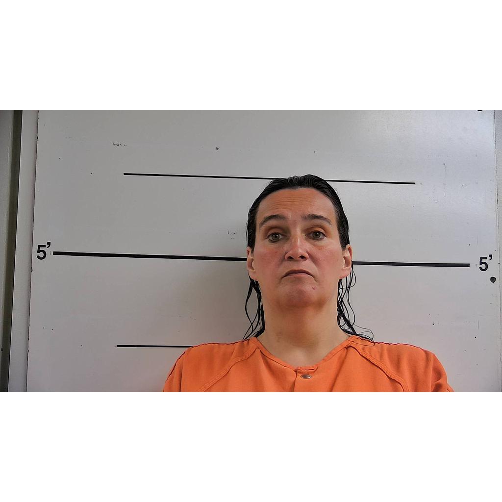 TRAVIS CARLA HEATHER 04/11/2023 - Boyd County Mugshots Zone