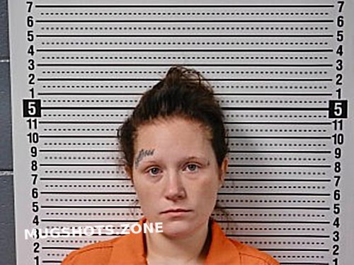 HOPKINS KELSEY BROOKE 11/16/2022 - Boyle County Mugshots Zone
