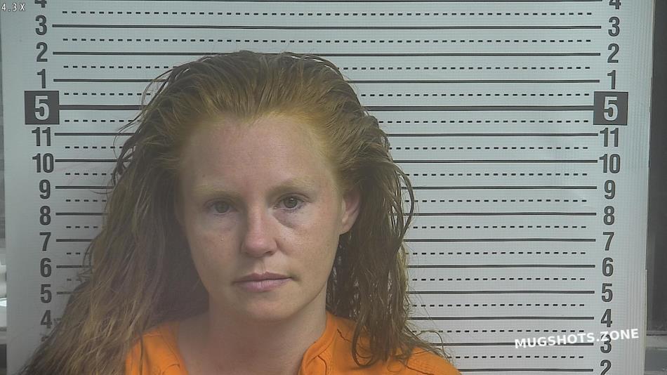 LUTTRELL CHASITY RENEE 08/05/2025 - Boyle County Mugshots Zone