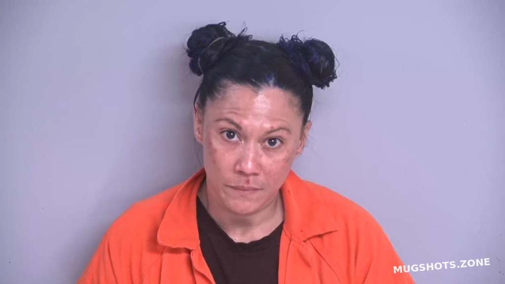 DEESE ALICIA MARIE 06/20/2025 - Bradford County Mugshots Zone