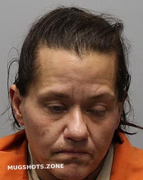 HUGHES RUTH LEE ANN 04/26/2025 - Bradley County Mugshots Zone