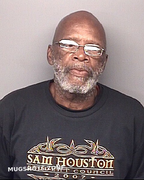 TRAVIS ALBERT WAYNE 02/18/2021 - Brazoria County Mugshots Zone