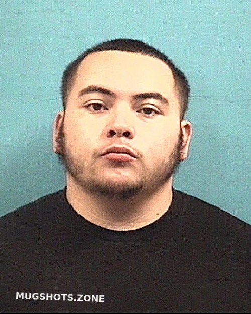 DAVISON DUSTIN MATTHEW 11/01/2021 - Brazoria County Mugshots Zone