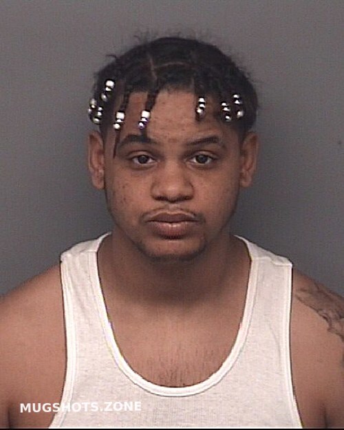 ANDERSON ROSCOE JOHNELL 03/02/2022 - Brazoria County Mugshots Zone