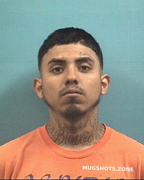 PALMERIN ERIC RODRIGUEZ 04/11/2022 - Brazoria County Mugshots Zone
