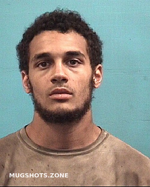 MILLER DOMINIC KAIN 04/29/2022 - Brazoria County Mugshots Zone