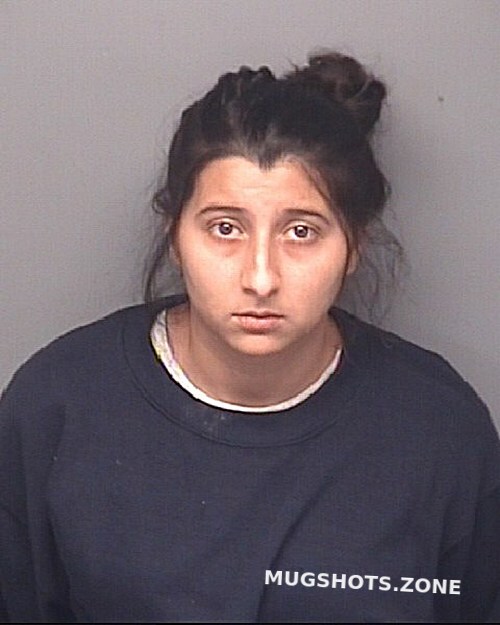 SERBAN MARIA 06/17/2022 - Brazoria County Mugshots Zone