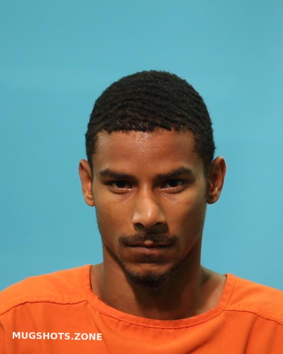 STERLING DANIKA 09/11/2022 - Brazoria County Mugshots Zone