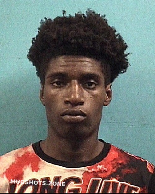 HUDSON KEAVEN JAHEIM 11/04/2022 - Brazoria County Mugshots Zone
