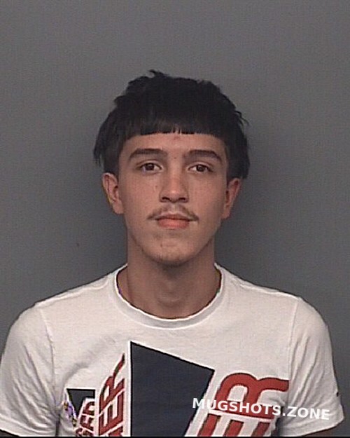 PAYPAY ROBERT LANCE 01/03/2023 - Brazoria County Mugshots Zone