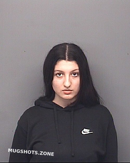 IORDACHE GESICA 01/10/2023 - Brazoria County Mugshots Zone