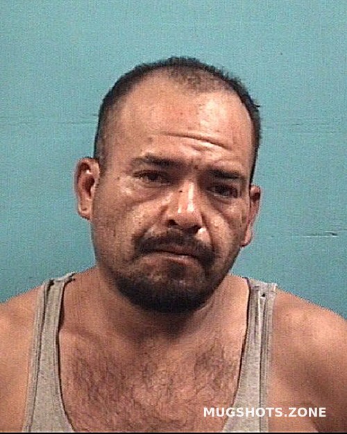 VALLEJO JAVIER 01/19/2023 - Brazoria County Mugshots Zone