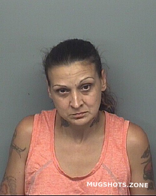 STANFORD RACHAEL LEANN 08/08/2023 - Brazoria County Mugshots Zone
