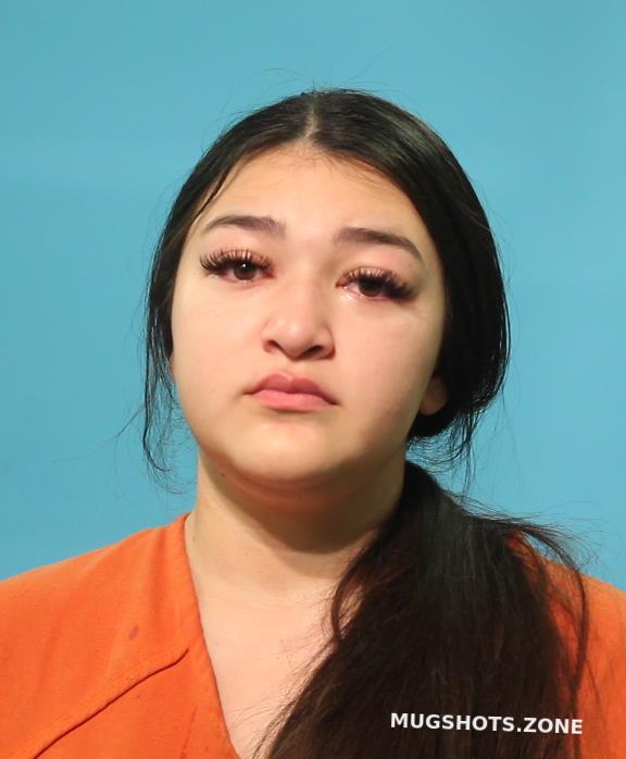 NGUYEN KASSI ADDISON 11/25/2023 - Brazoria County Mugshots Zone