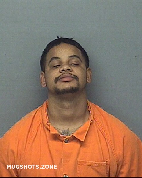 ANDERSON ROSCOE JOHNELL 12/19/2023 - Brazoria County Mugshots Zone