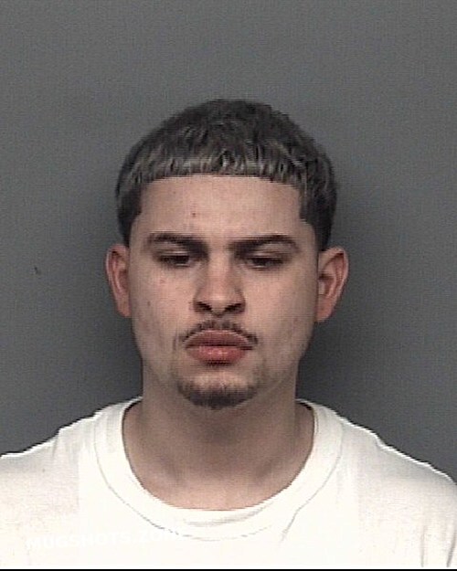 ALUISO ELIJAH MATTHEW 01/01/2024 - Brazoria County Mugshots Zone