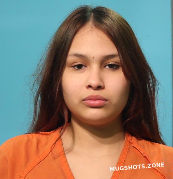 DOMINGUEZ JESSICA 01/19/2024 - Brazoria County Mugshots Zone