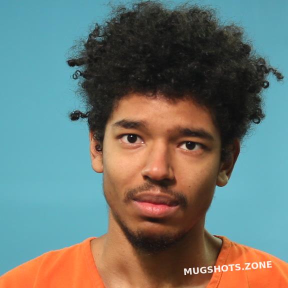 JOHNSON TAJAE JOE- MARTIN 02/01/2024 - Brazoria County Mugshots Zone