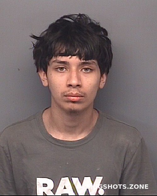 RAMOS JASON ANDREW 06/08/2024 - Brazoria County Mugshots Zone