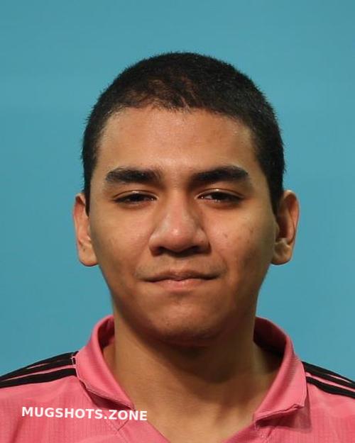 COREAS-ROQUE BRYAN 09/28/2024 - Brazoria County Mugshots Zone