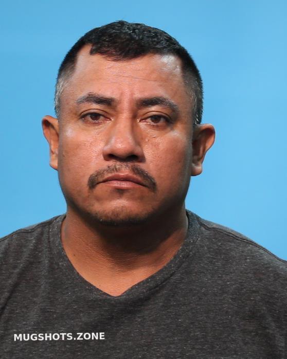 MARIA-NAVARRETE NICOLAS 11/09/2024 - Brazoria County Mugshots Zone