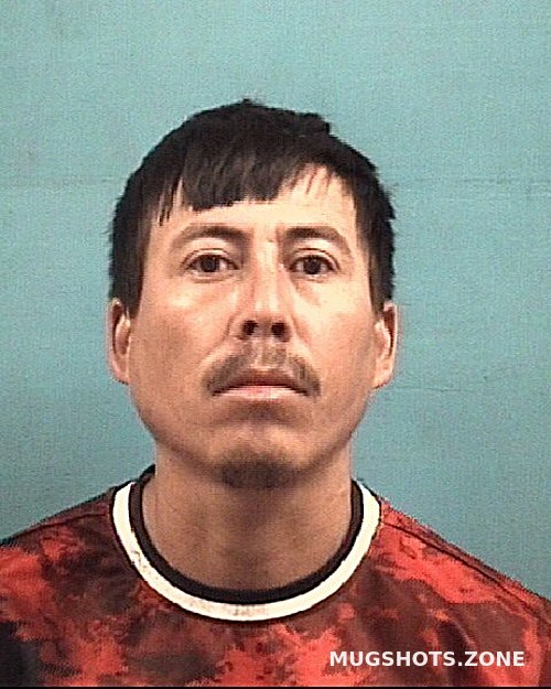ESTRADA GAITAN BAYRON OTONIEL 11/10/2024 - Brazoria County Mugshots Zone
