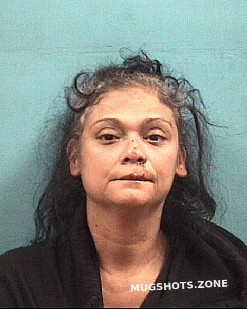 MALDONADO REBECA 12/12/2024 - Brazoria County Mugshots Zone
