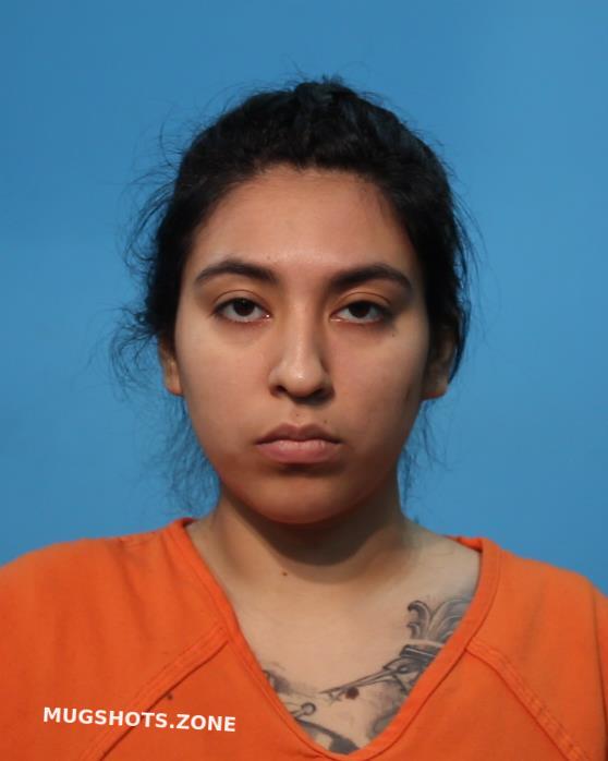RUBIO DAISY 12/30/2024 - Brazoria County Mugshots Zone