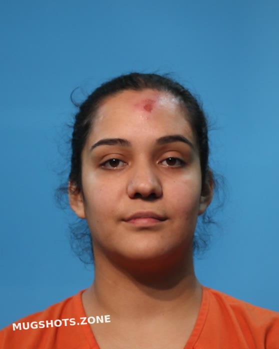RANGEL ANDREA 12/30/2024 - Brazoria County Mugshots Zone