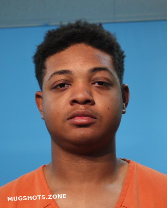 BRISCOE BRANDON ANTHONY 01/04/2025 - Brazoria County Mugshots Zone