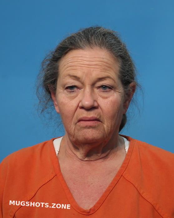 CURTNER CYNTHIA PRICE 01/17/2025 - Brazoria County Mugshots Zone
