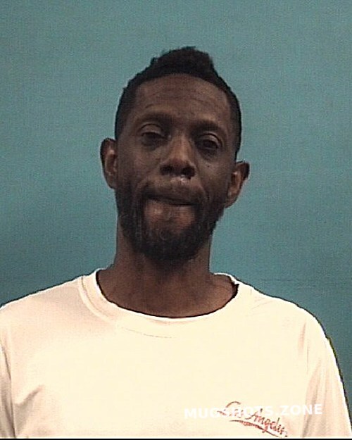 JAMES DELVIN RAY 02/21/2025 - Brazoria County Mugshots Zone