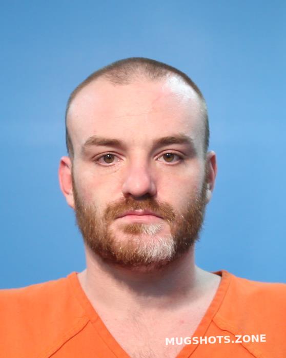 LOGAN JUSTIN DAKOTA 03/22/2025 - Brazoria County Mugshots Zone