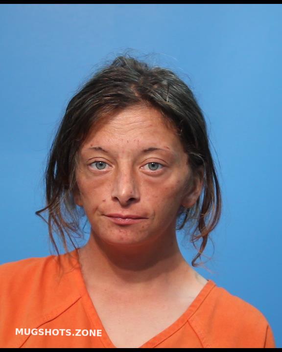 RUSHING DANIELLE NICOLE 04/04/2025 - Brazoria County Mugshots Zone